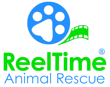 Enlightening Animals Resource Center Inc. – Education - ReelTime Animal ...